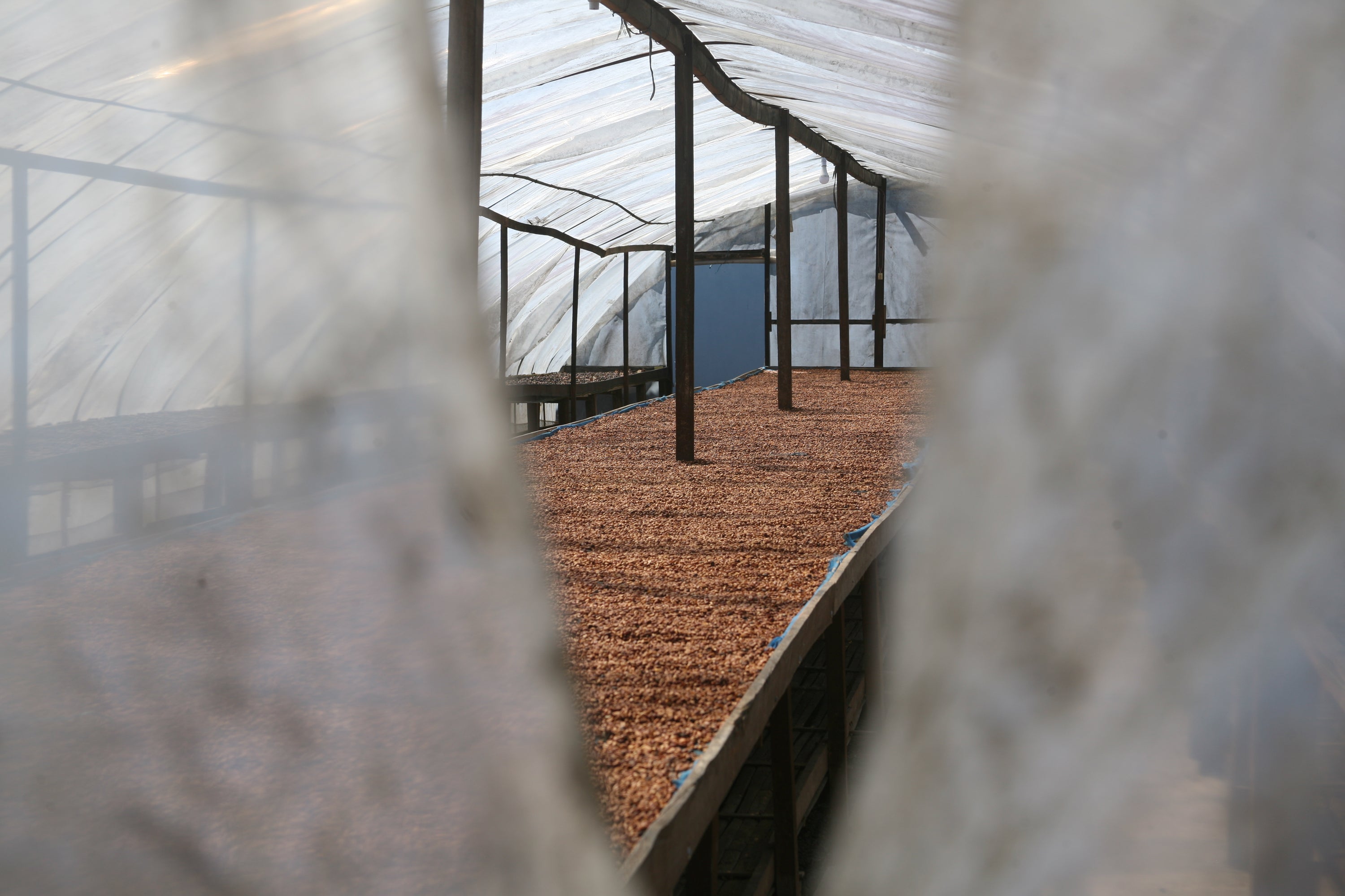 And Sons - Curators of Specialty-Grade Green Coffee – And Sons Importers